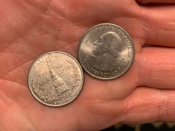 U.S. Coin Strike Types Explained - Do You Know The 3 Different Types Of ...