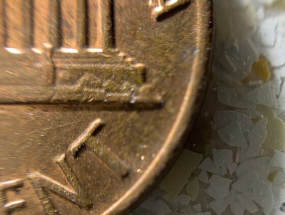 Floating Roof Pennies - See How Much They're Worth | U.S. Coins Guide